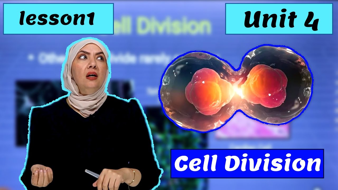 Science Prep 3 | First Term 2024 | mitosis cell division - YouTube
