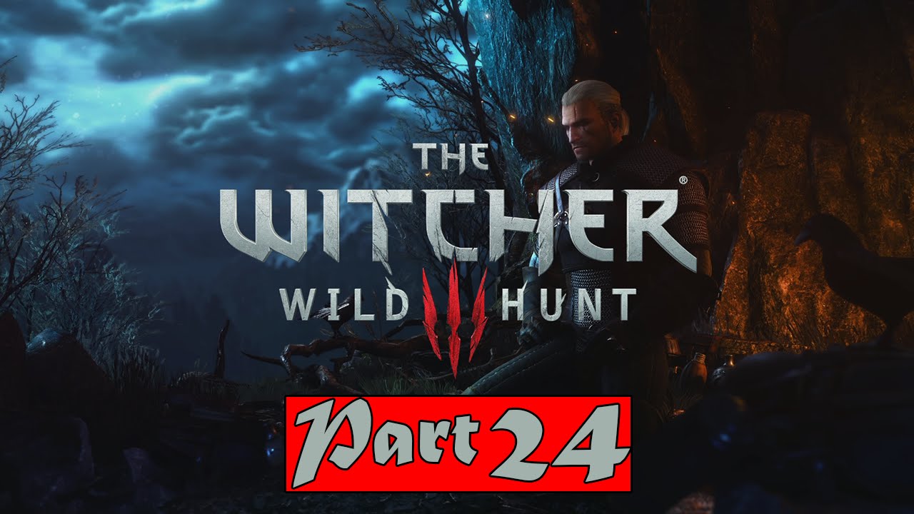 #TheWitcher3 Wild Hunt Walkthrough - Part 24 - Nithral Fight - YouTube
