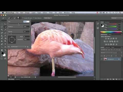 Using the Quick Selection Tool - Adobe Photoshop CS6 Tutorial - YouTube