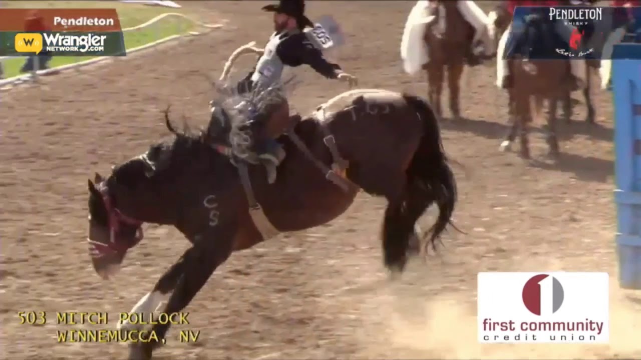 Mitch Pollack Leads Friday Saddle Bronc Riding at 2019 Pendleton Round ...