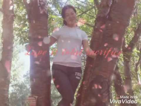 Жалалабад жанылай