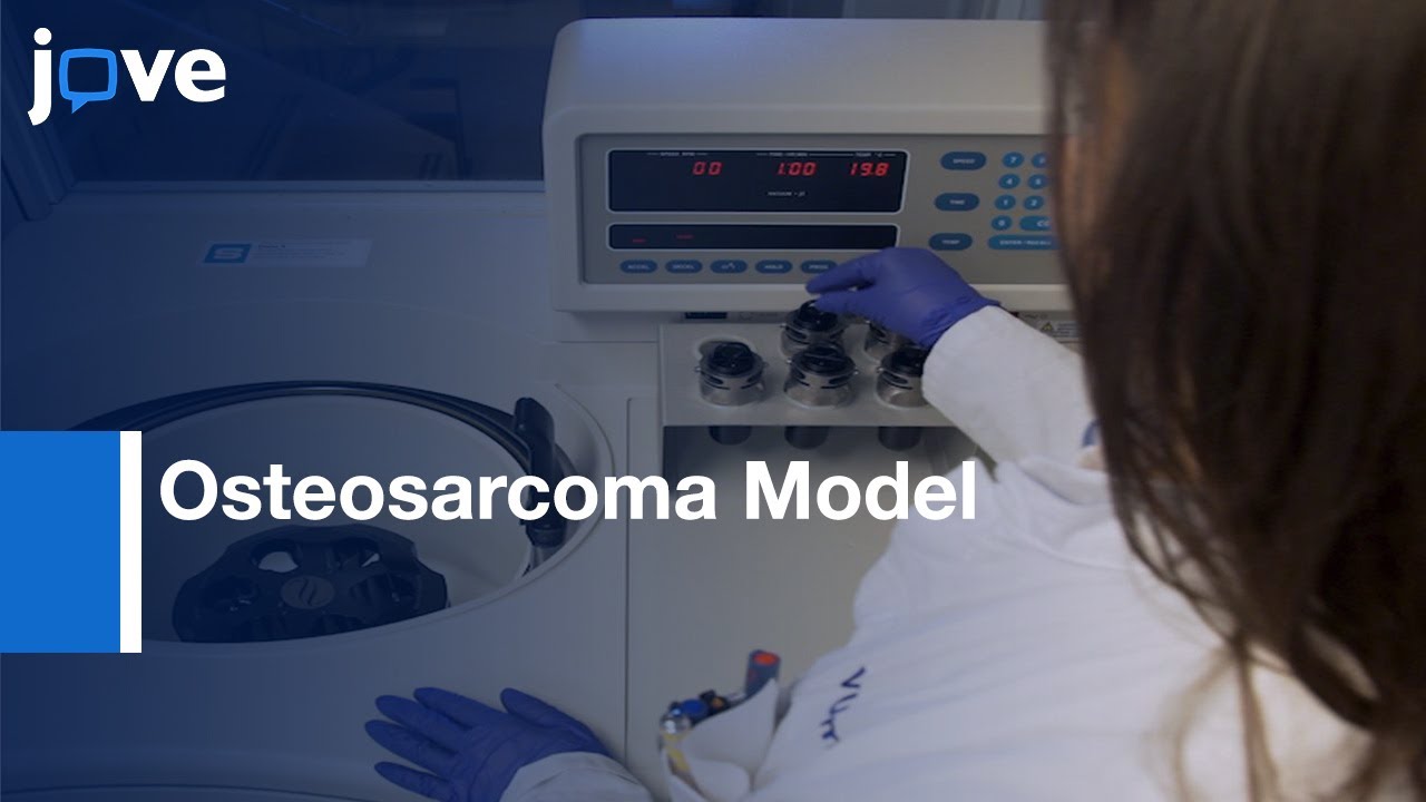 Osteosarcoma Model to define Communication between Tumor and Stem cell ...
