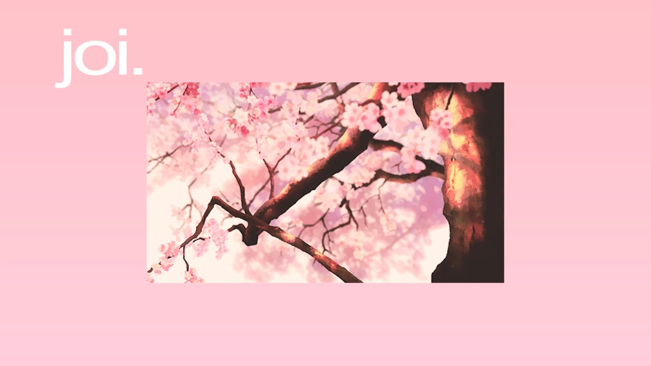 Joi Sakura Sunset Youtube