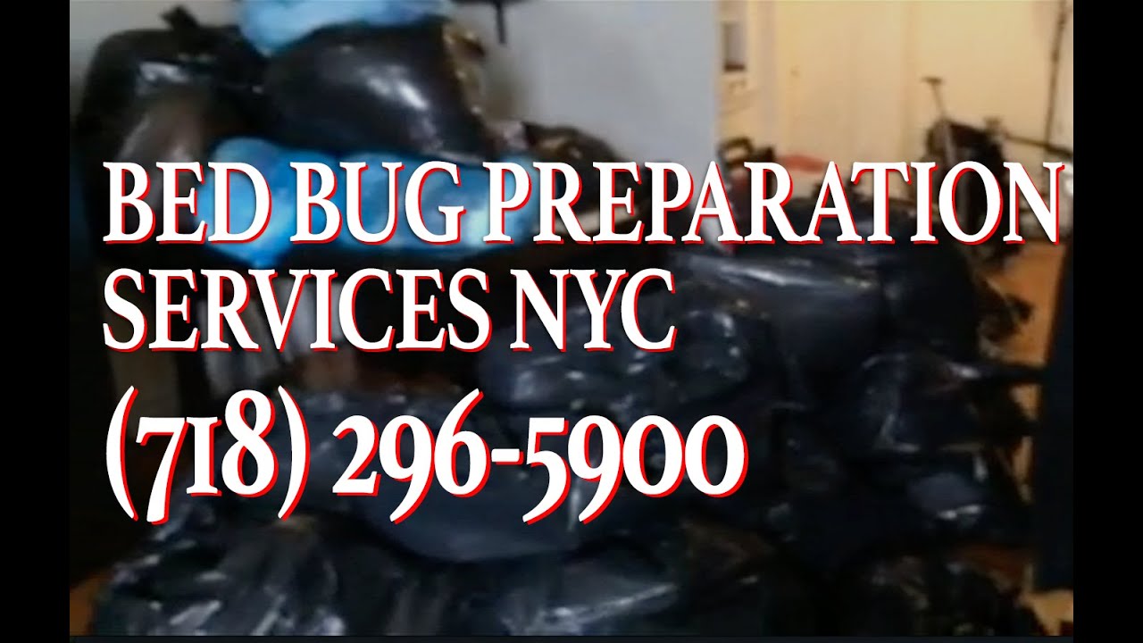 Bed Bug King Bed Bug Prep NYC Manhattan Brooklyn Queens Preparation ...