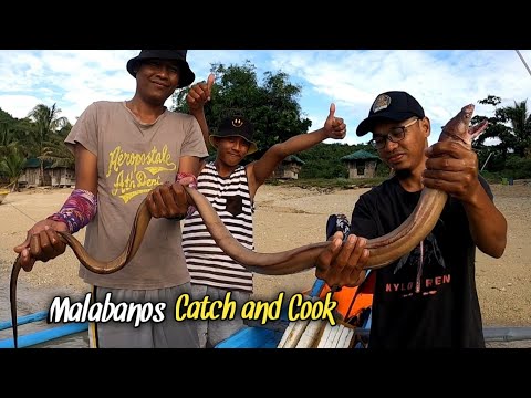 Ginataang igat o malabanos(Eel) + barbecue | Catch and Cook - YouTube