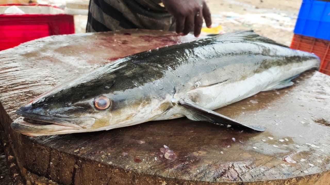 Kadal Viral Fish Cutting | Pattinapakkam Fish Market | Cutting Types ...