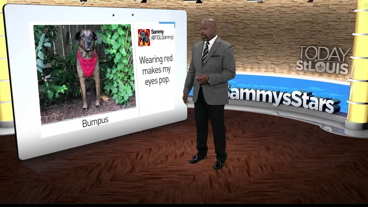 Bumpus looks great in red - YouTube