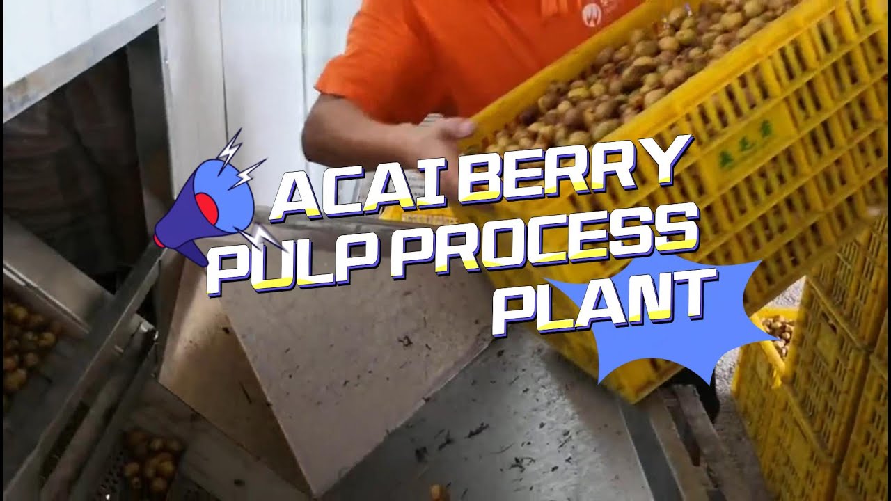 acai berry pulp process plant - YouTube