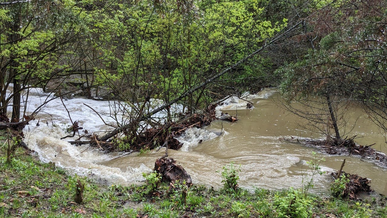 Beaver Dam After Rain Timelapse - Gushing with Water! - YouTube