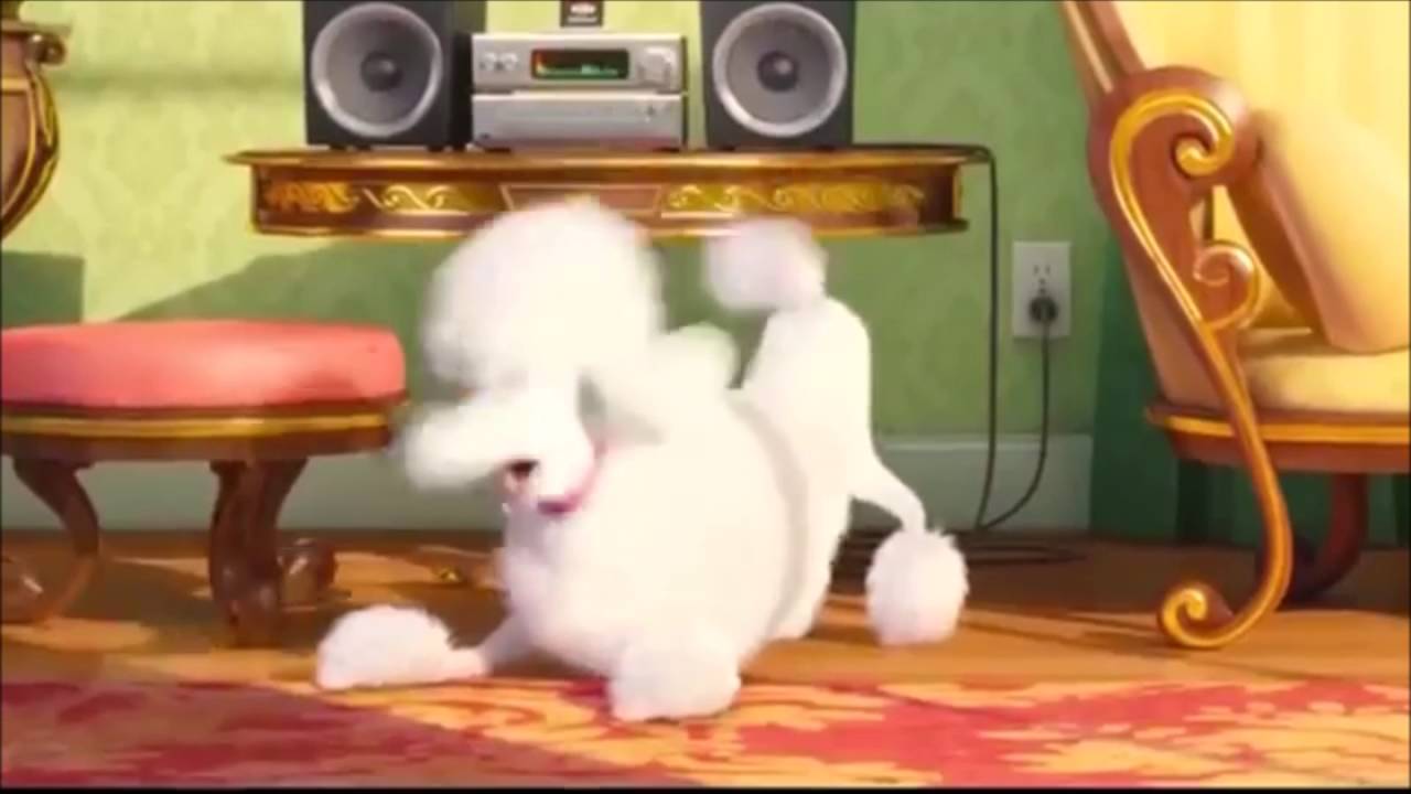 The Secret Life of Pets - Leonard Screamo Version - YouTube