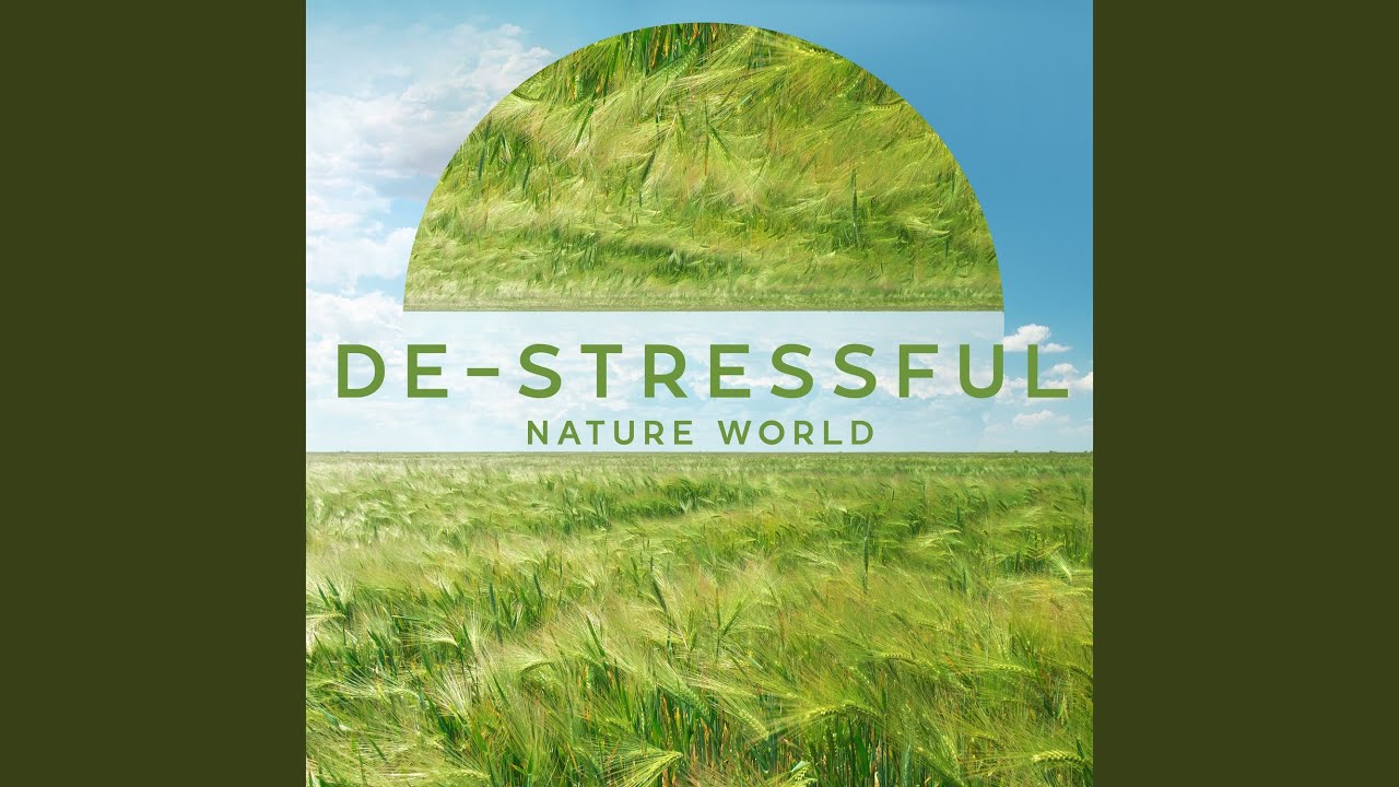 Bird Spells - YouTube