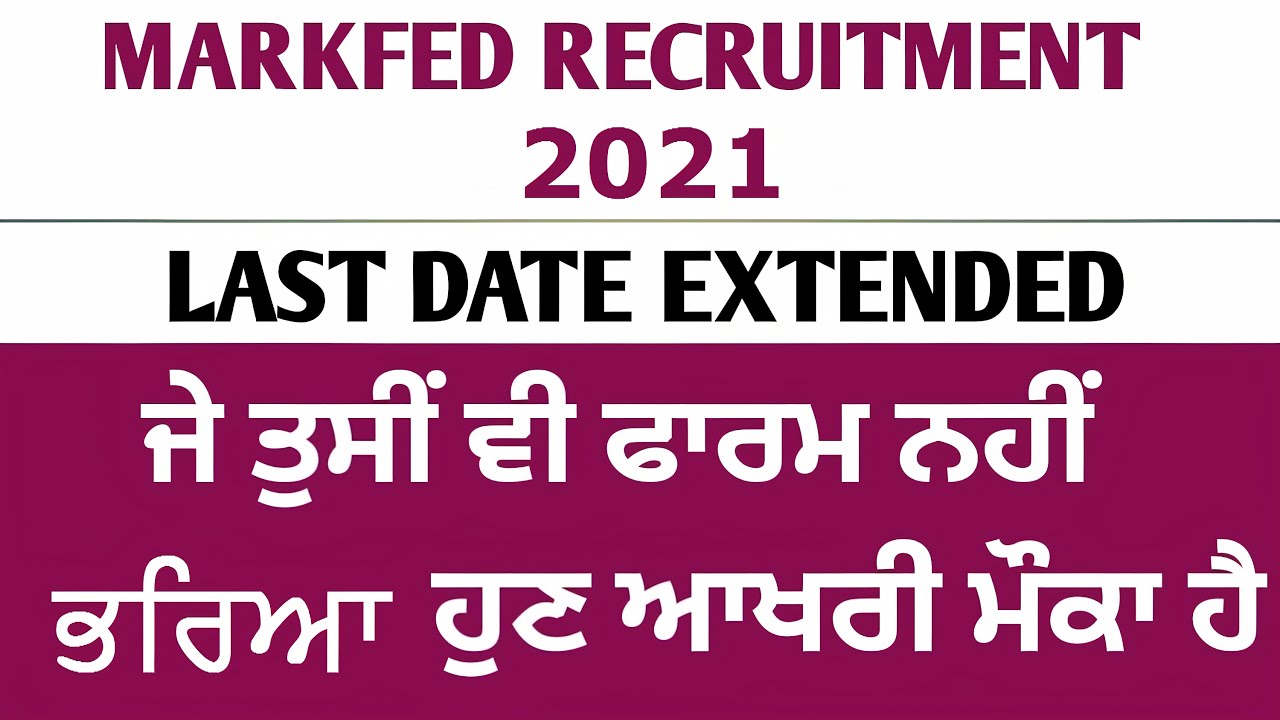 Markfed recruitment 2021 LAST DATE EXTENDED - YouTube