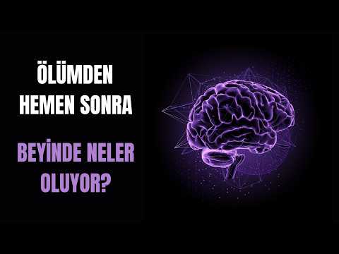 Ölümden Hemen Sonra Beyinde Neler Oluyor? (Bilimin Çözdüğü O Işık)