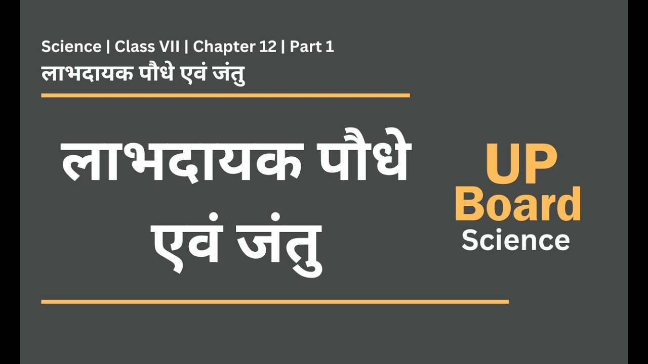 UP Board - Class 7 - Science - Chapter 12 - Useful Plants and Creatures ...