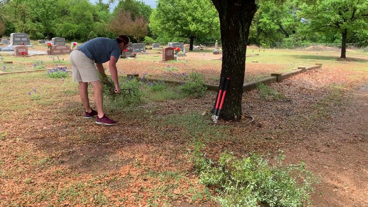 Stacking Limbs - YouTube