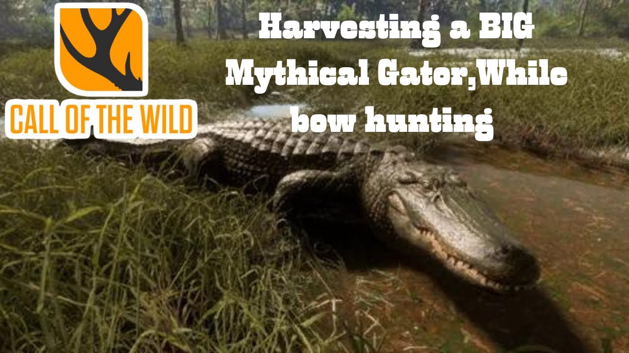 Harvesting a Big Mythical Gator while bow hunting the Mississippi - YouTube