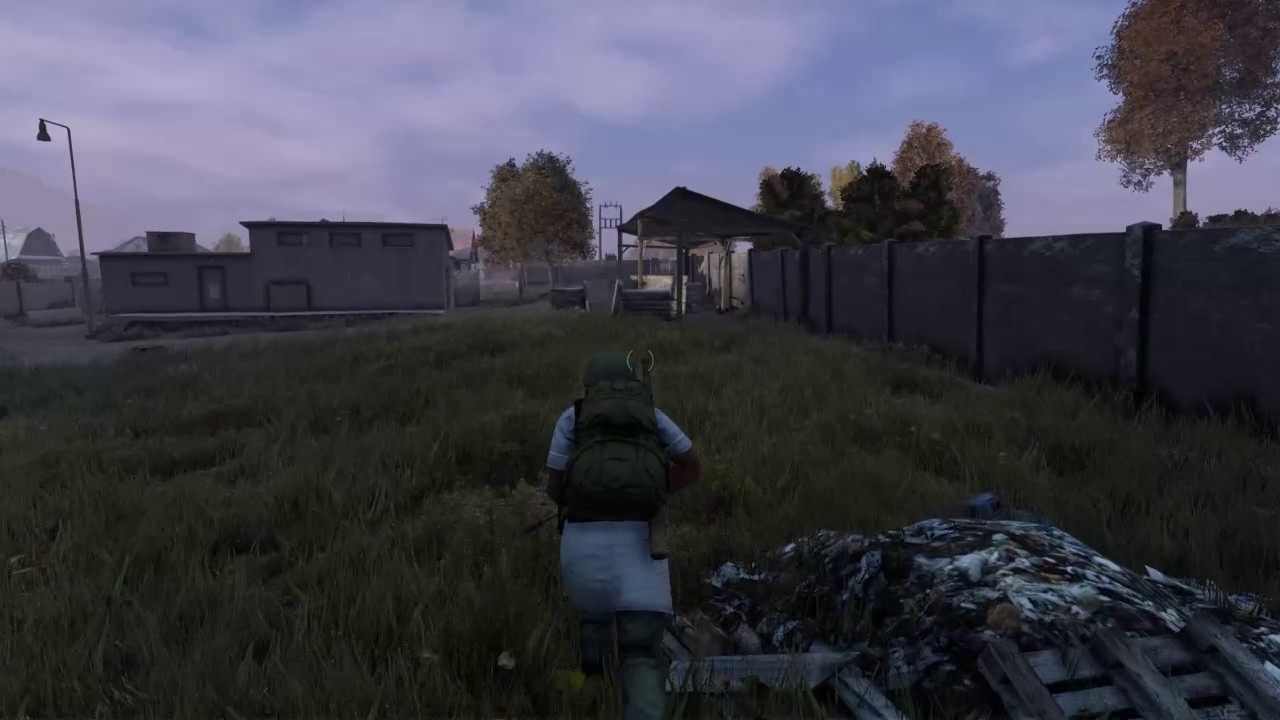 what the hell (DayZ) - YouTube