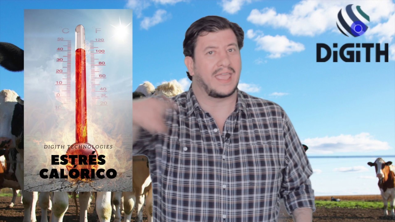 ¿Qué es el estrés calórico? - DIGITH - YouTube