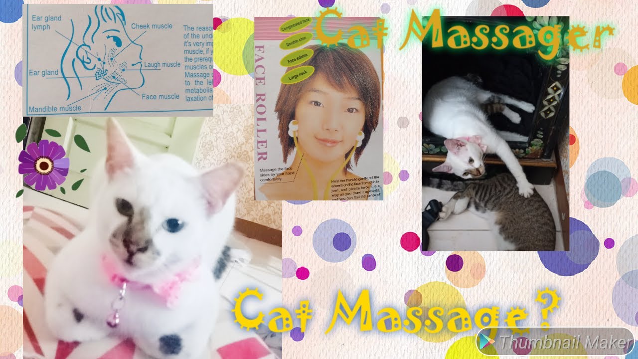 Catfish Kitty - Cat massager // How to give your cat a massage? - YouTube