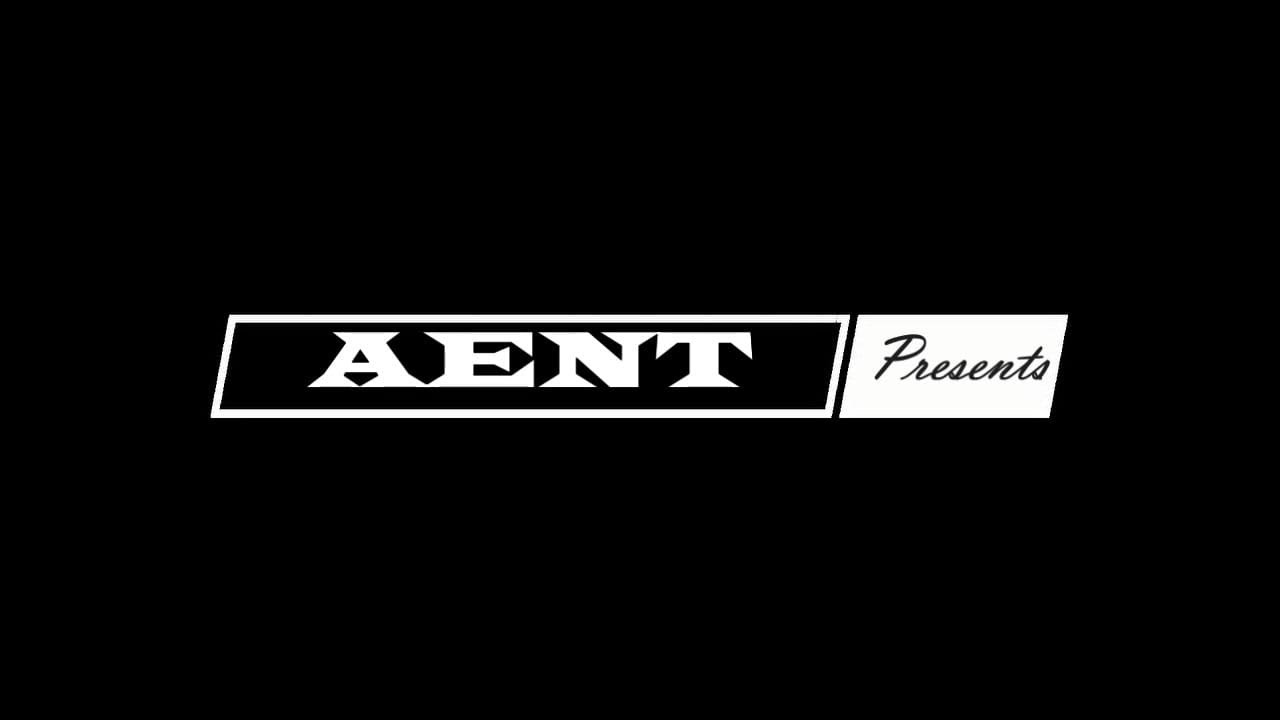 AENT self propelled articulated boom lift - YouTube
