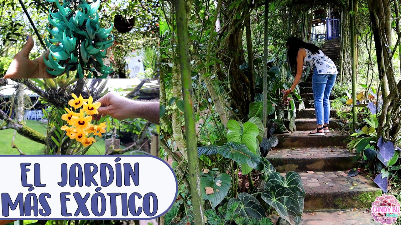 TOUR POR EL JARDÍN MÁS EXÓTICO QUE HE VISITADO: 5000m² de puras plantas ...