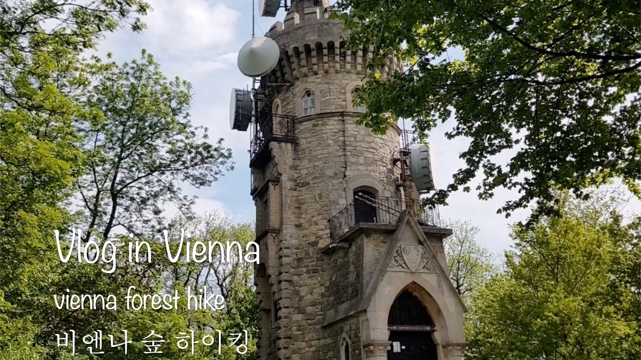 🇦🇹비엔나 숲 하이킹하기Hiking the Vienna Forest - YouTube