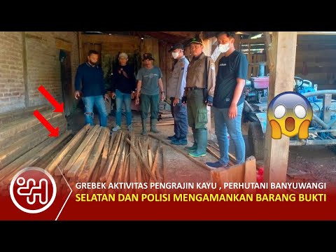 GREBEK AKTIVITAS PENGRAJIN KAYU , PERHUTANI BANYUWANGI SELATAN DAN POLISI MENGAMANKAN BARANG BUKTI