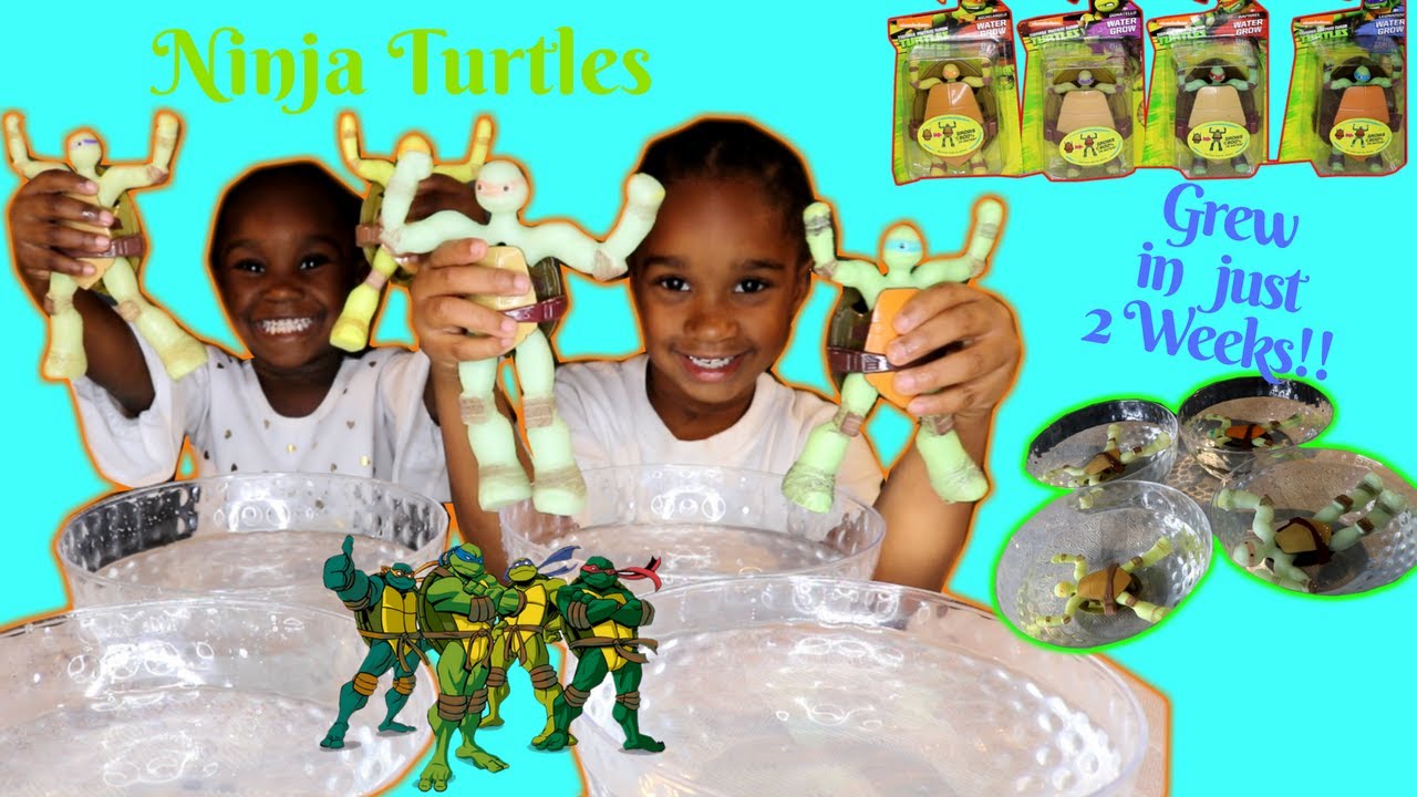 Growing Ninja Turtles in water - YouTube