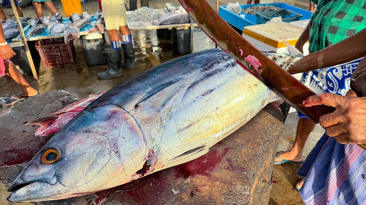 The most rapid Tuna trimming skill by skillful people l Fishy food ...