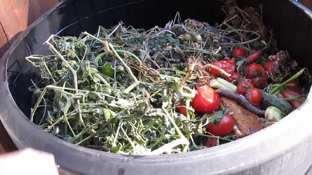 Decomposers Compost - YouTube