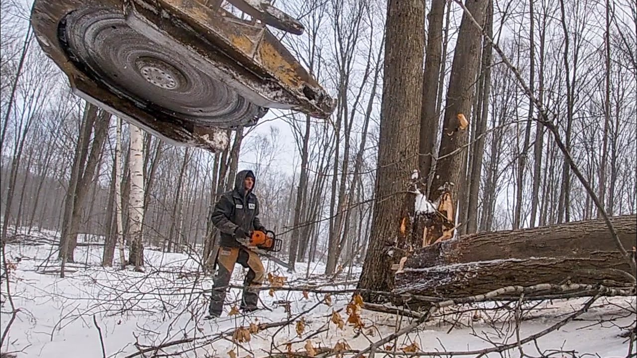 Jordan Dropping Trees!!!! - YouTube