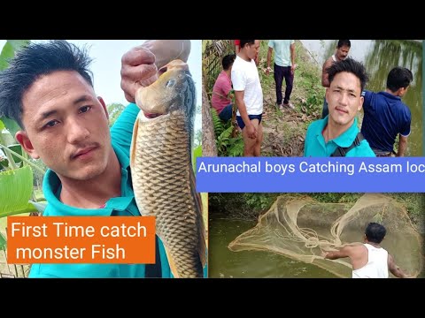 Arunachal boys Catching Assam local big fish.amazing fish pond net ...