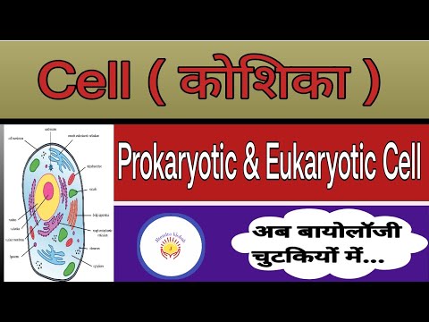 Cell || Koshika || What is cell ?🔥 || #cell #biology #upsc #jitendra # ...