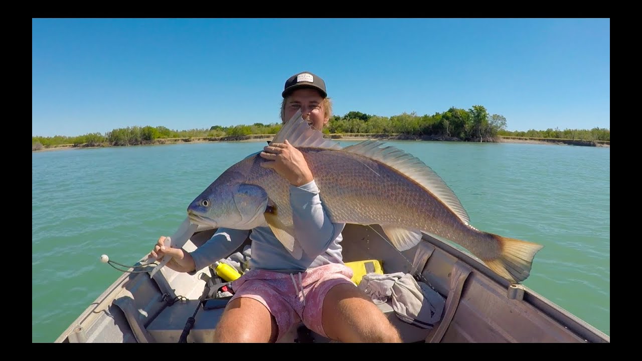 KARUMBA - BIG FISH AND EPIC SUNSETS - YouTube