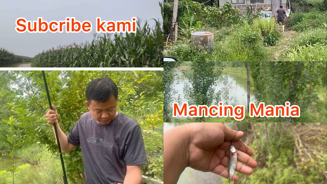 Mancing Mania di china - YouTube