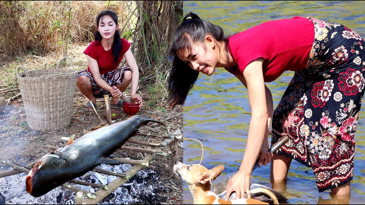 smart woman cooking catfish for 6 dog - Yummy cooking big fish eating ...