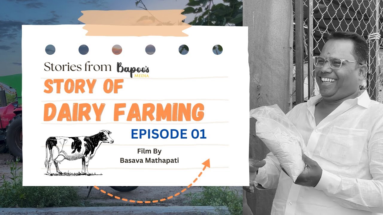 Dairy Farming challenges and Solutions in Bidar | Documentary film ...