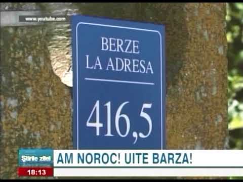 Am noroc! Uite, Barza! - YouTube