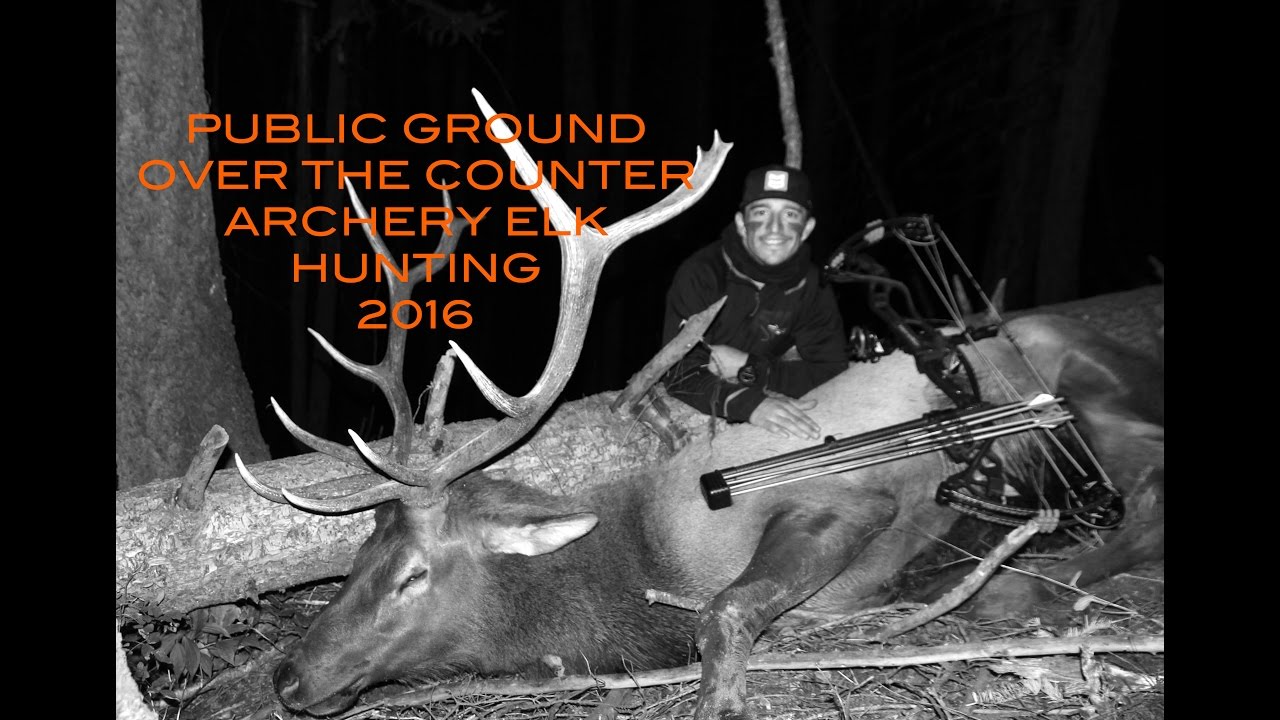2016 #ElkShape Elk Hunt Part 2 - YouTube
