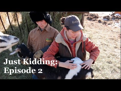 Just Kidding: Episode 2: A Sign to Help Tell When Your Nanny Will Kid ...