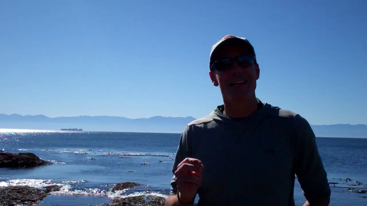 Grateful Dead - Seaside Chat: Dave’s Picks Volume 36 - YouTube