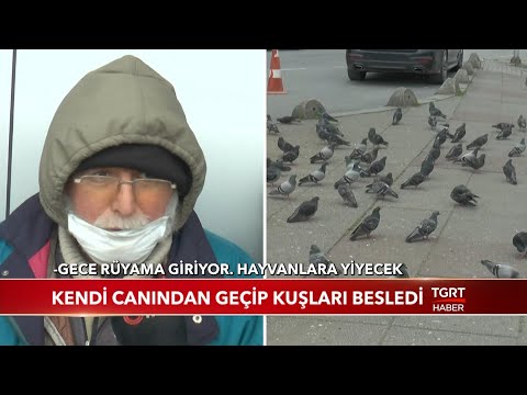 Beslediği Kuşlar İçin Hayatını Riske Attı