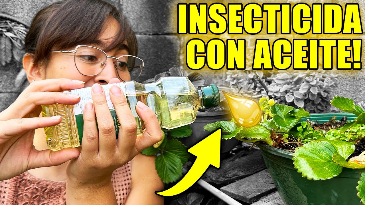 😀 ¡Elimina Pulgón, Trip, Cochinilla y Mosca Blanca con este Insecticida ...