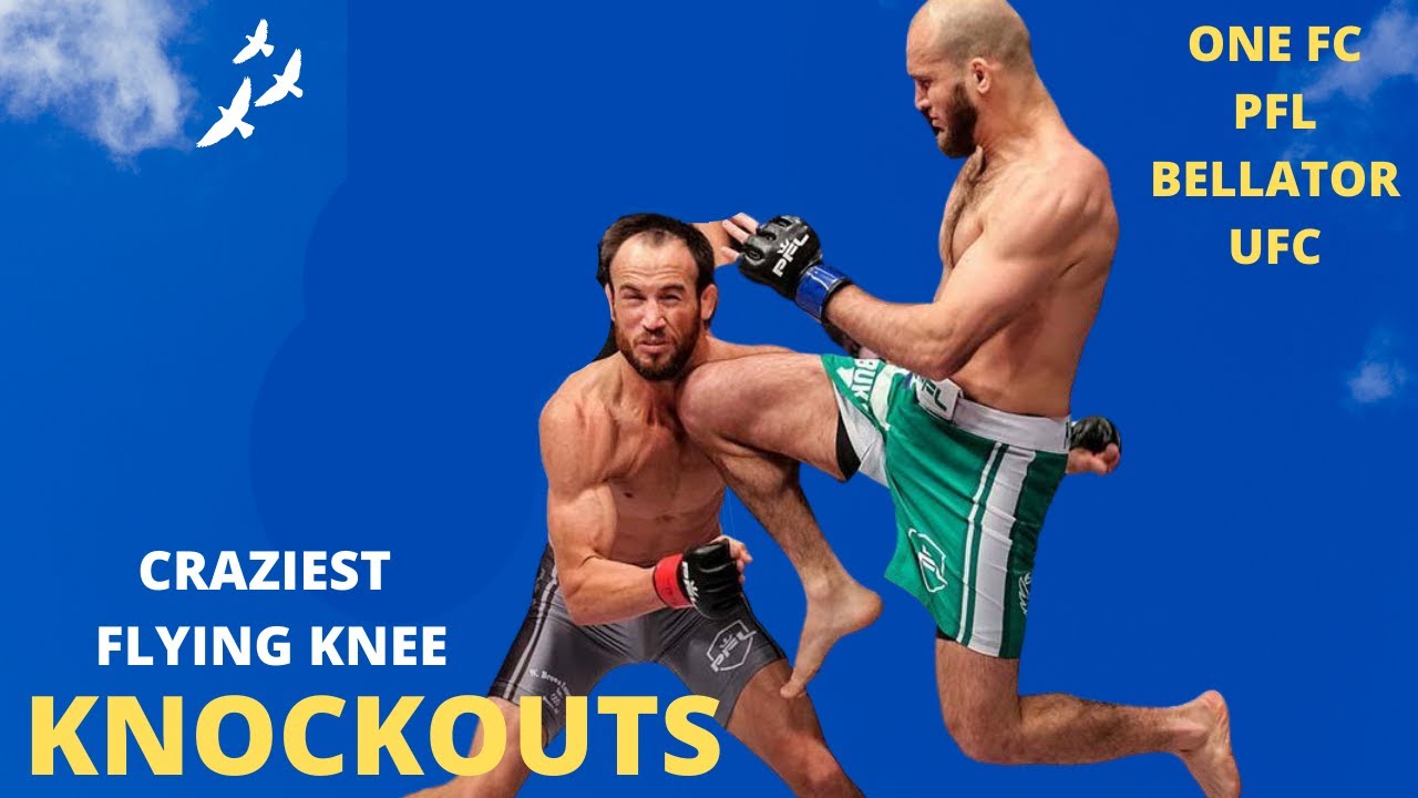 Craziest flying knee knockouts of every major MMA promotions (One FC ...
