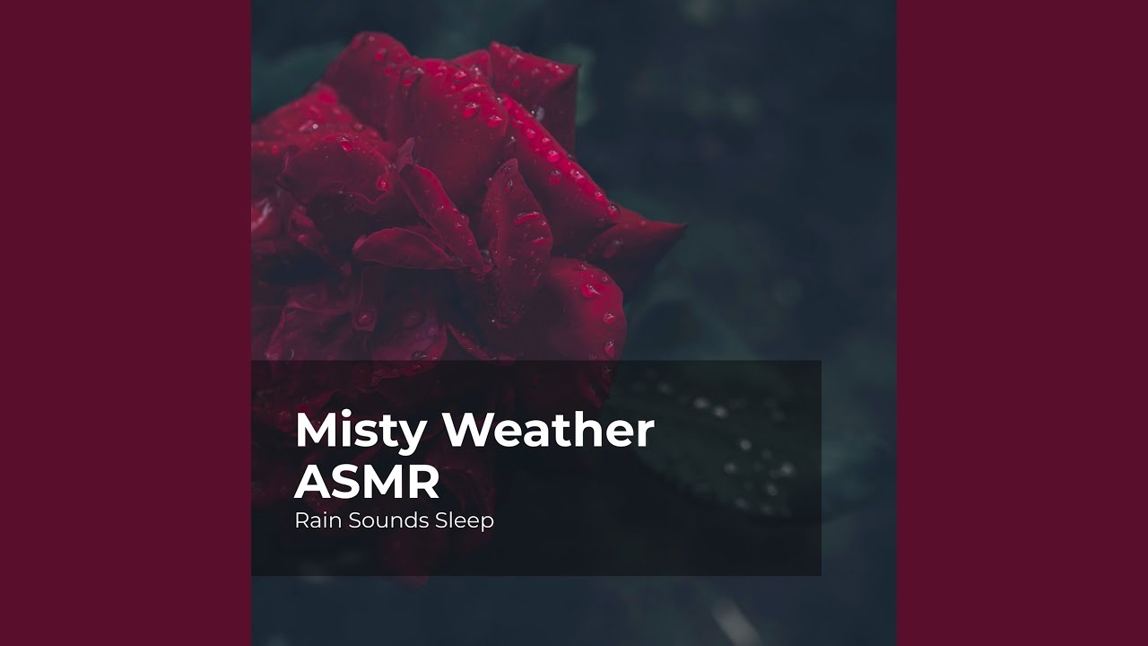 Drowse in Downpour - YouTube