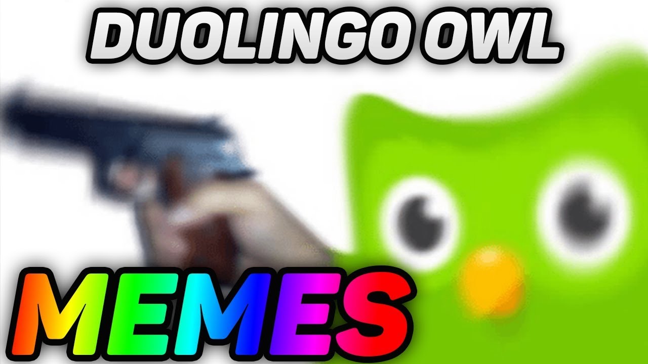 Duolingo Owl MEMES (2019) - YouTube