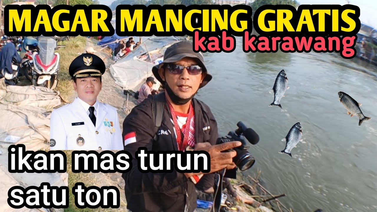 mancing gratis‼️🔥🔥ikan mas turun satu ton kab karawang - YouTube