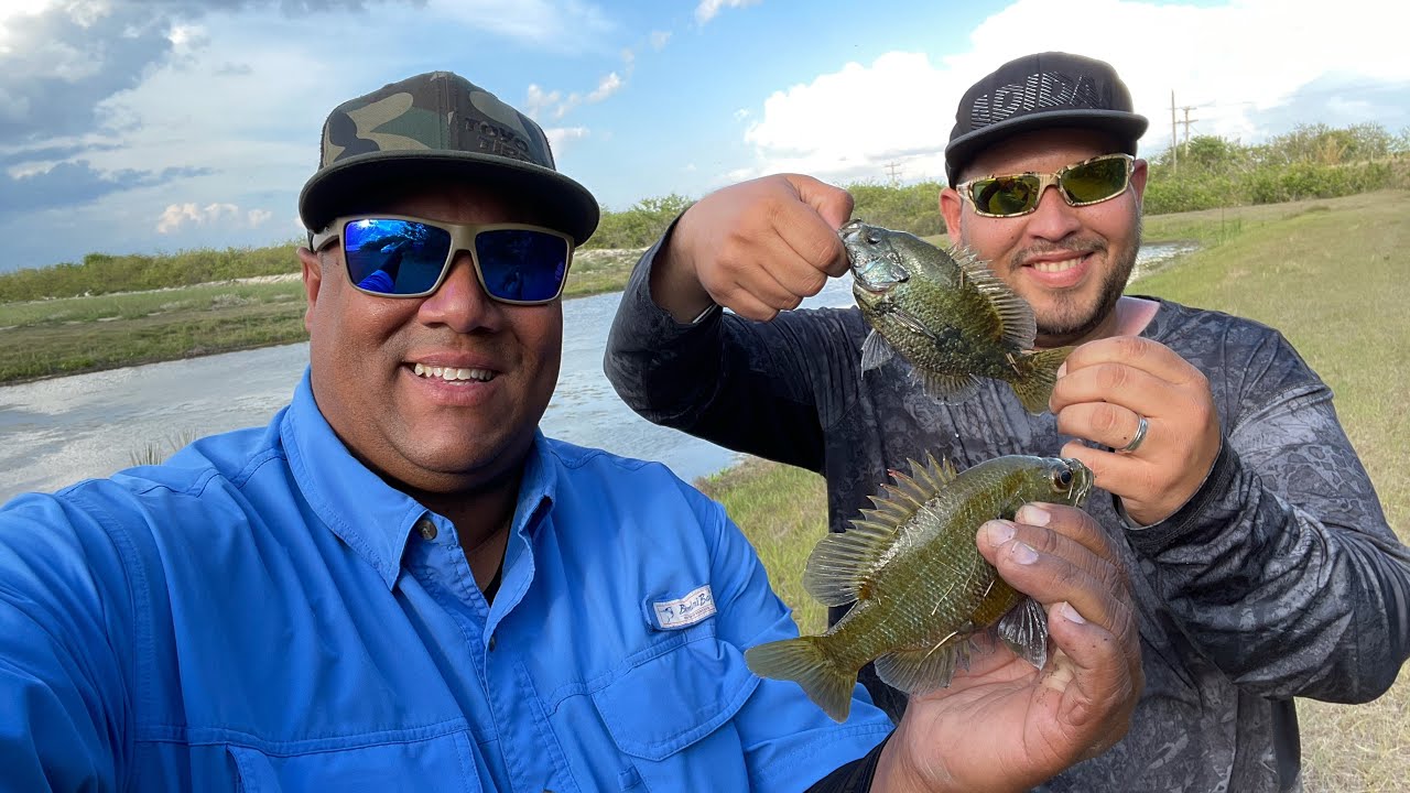 Bass, Blue Gill, Mayan Cichlids fresh water fishing. - YouTube