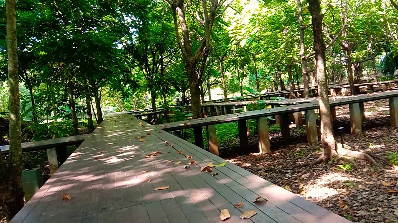 Taman Unhas - Perumperindo.co.id