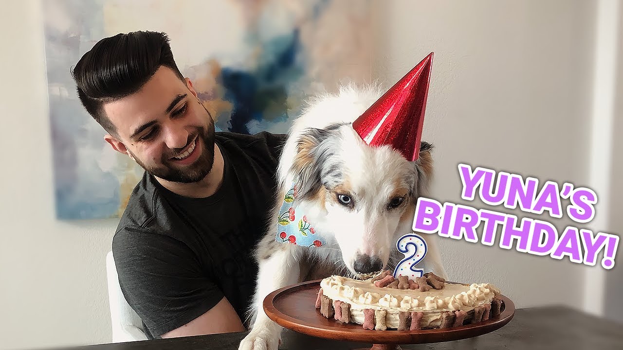 My Dogs Surprise Birthday Party (Adorable) - YouTube